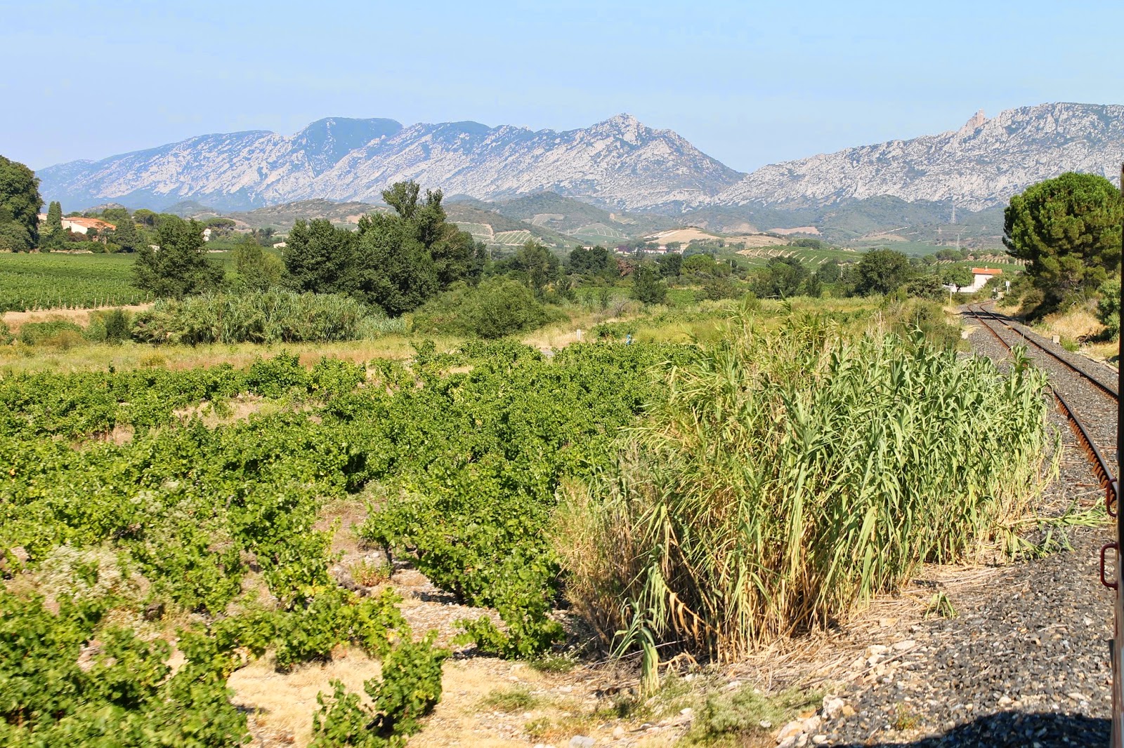 Wine, food and other pleasures: Agly Valley by train: vineyards, gorges ...