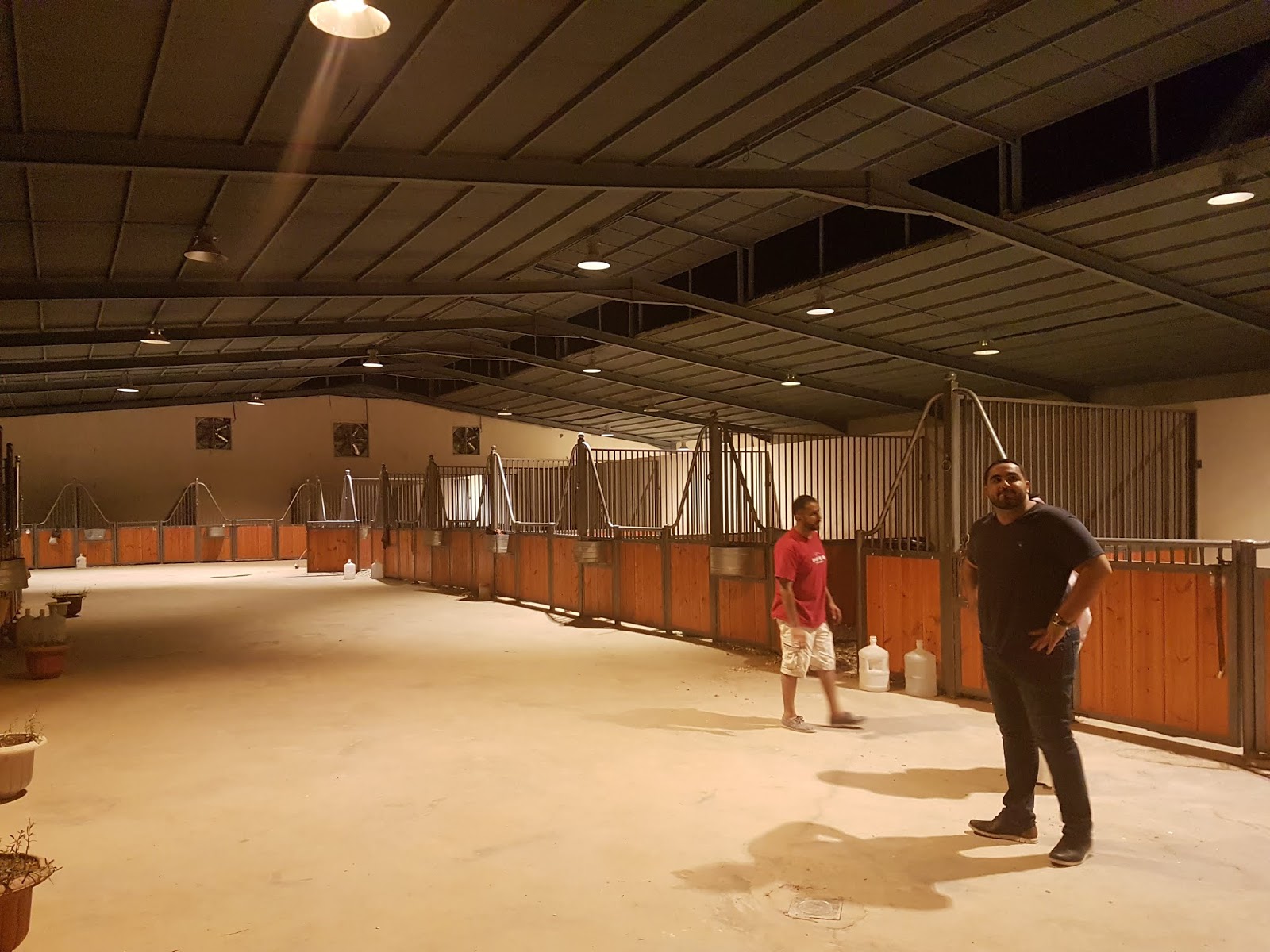 Saudi Arabia and an Arabian Horse Ranch Adventure