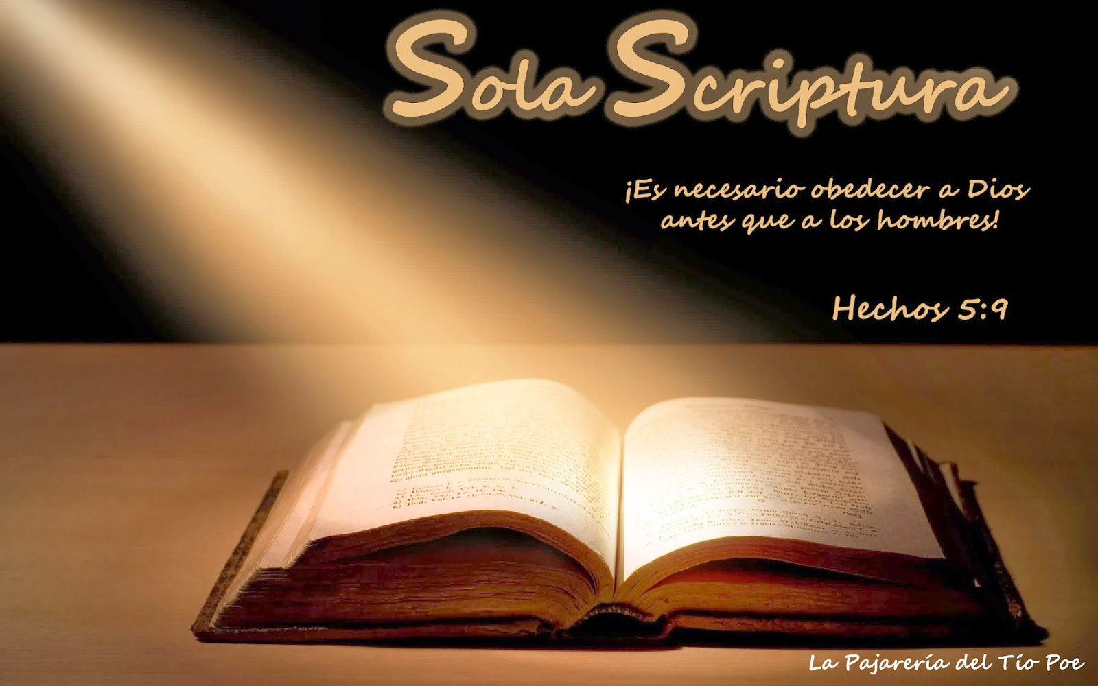 La pajarería del Tío Poe: Sola Scriptura