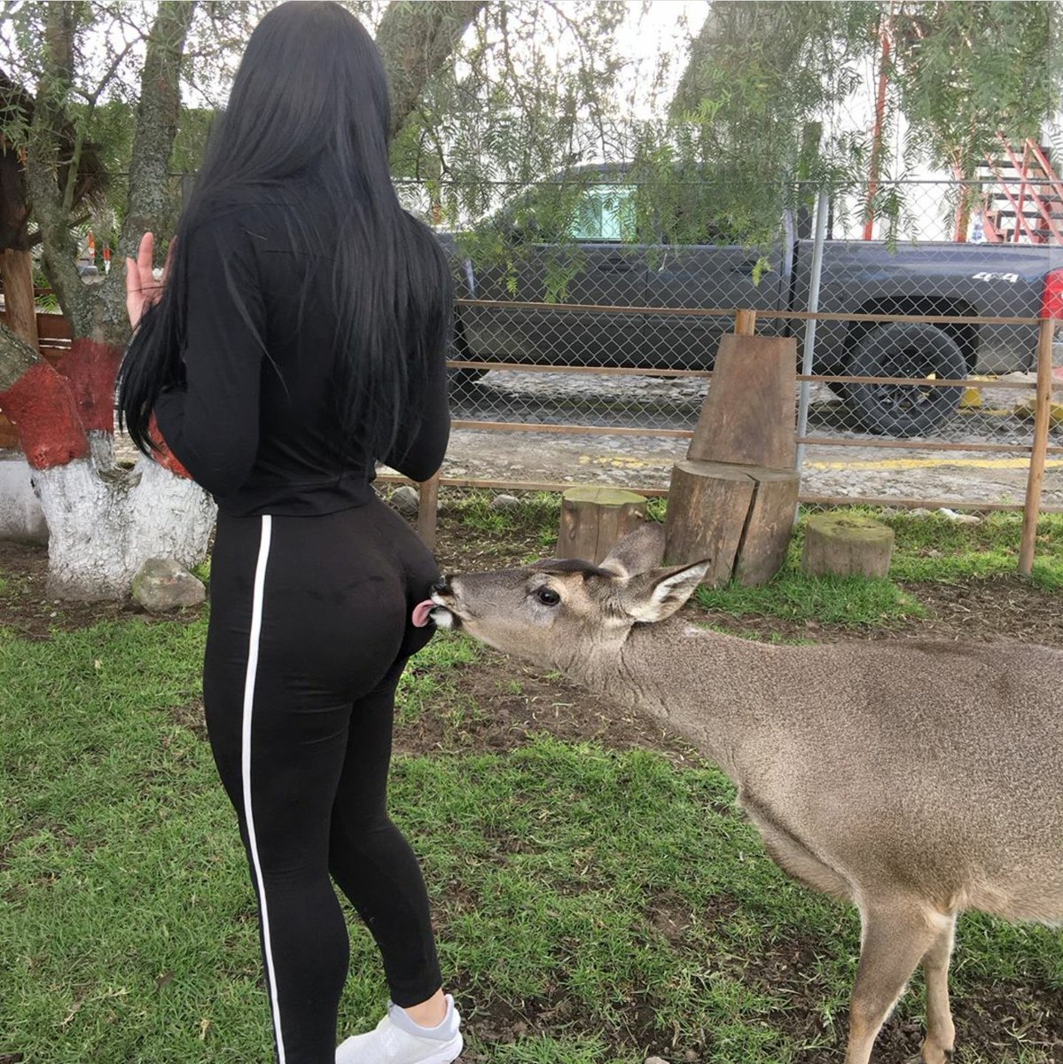 WikiBellas: Jailyne Ojeda | Bio, Fotos y Videos