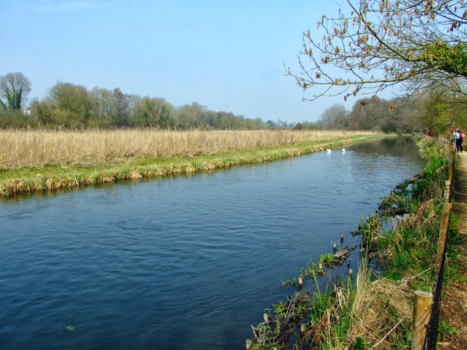 Canoeing and Kayaking on the River Itchen Navigation