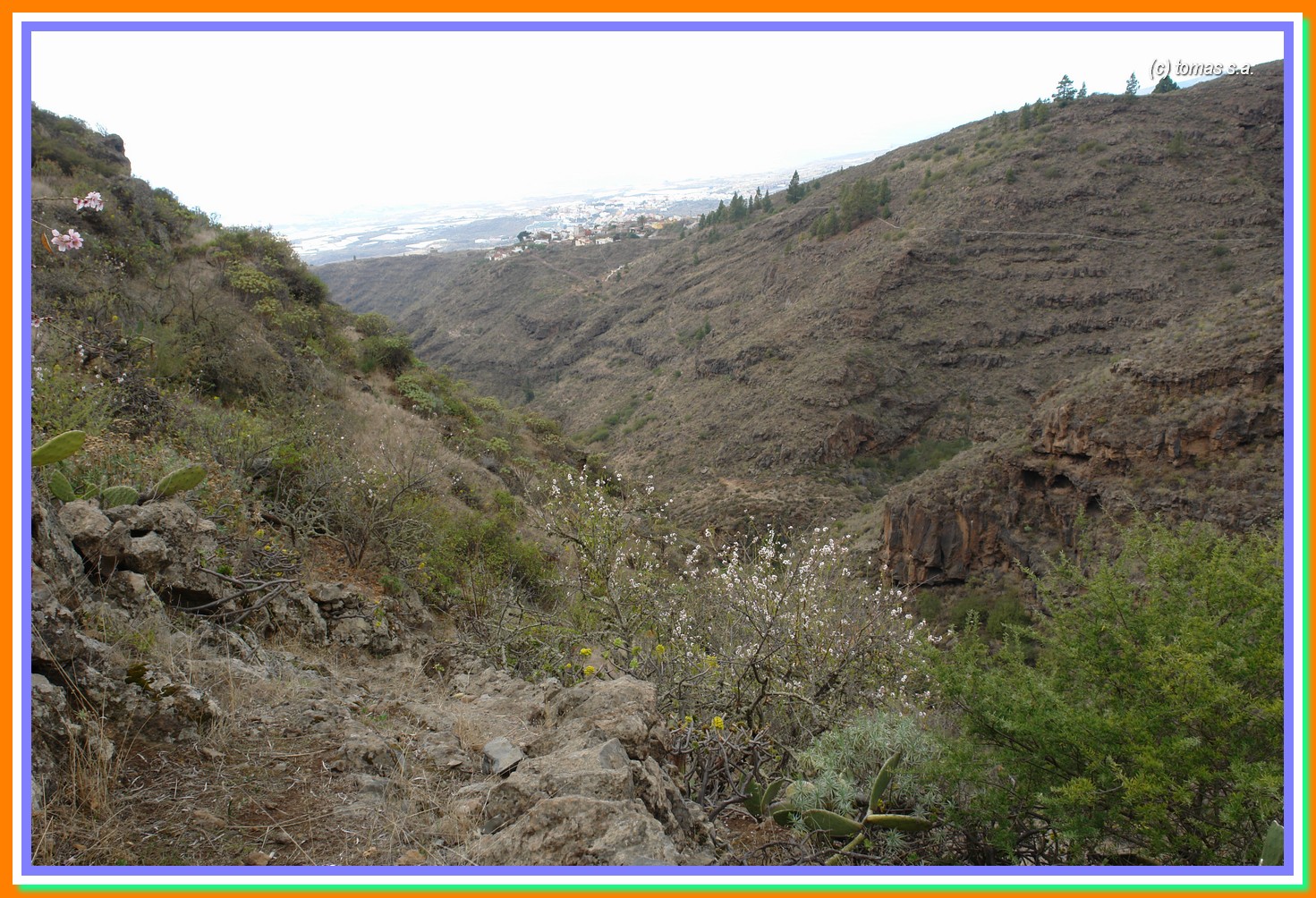 Tenerife senderos......: TENERIFE SENDEROS --GUIA ISORA-- EL JARAL -LAS ...