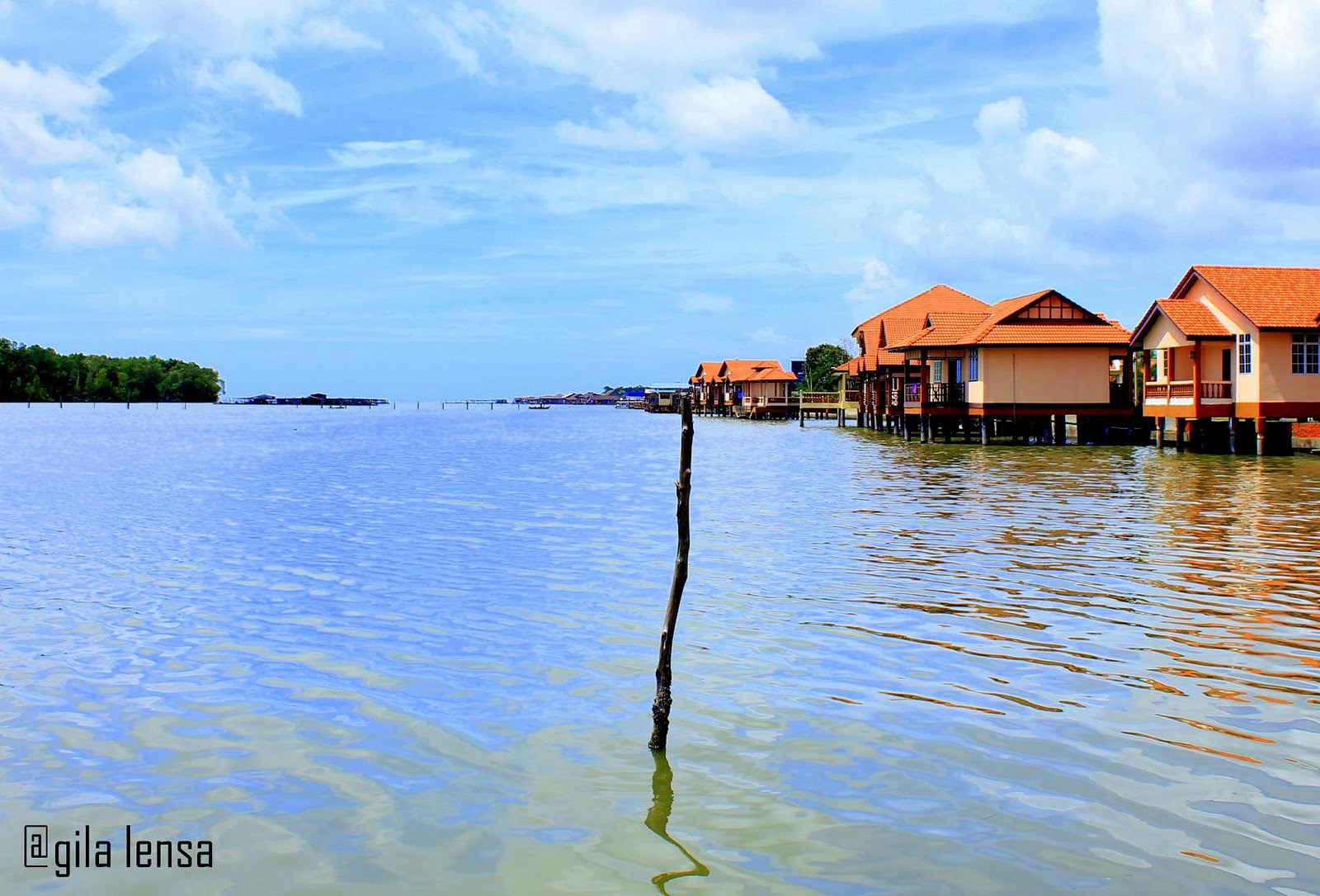 GILA GAMBAR: kuala gula