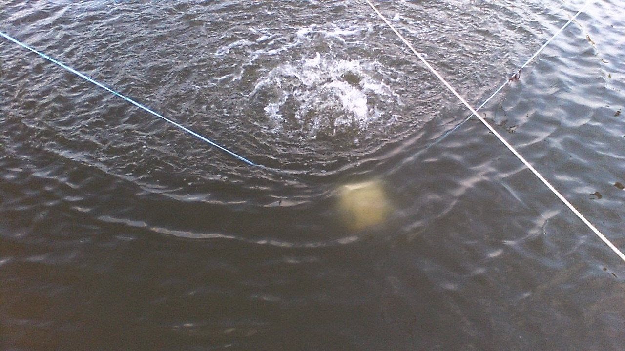 The Floating Empire: Some Notes at the End of Winter.