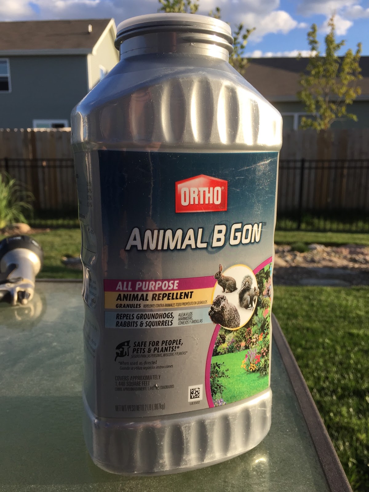 Backyard Neophyte Landscaping Blog: September 2015