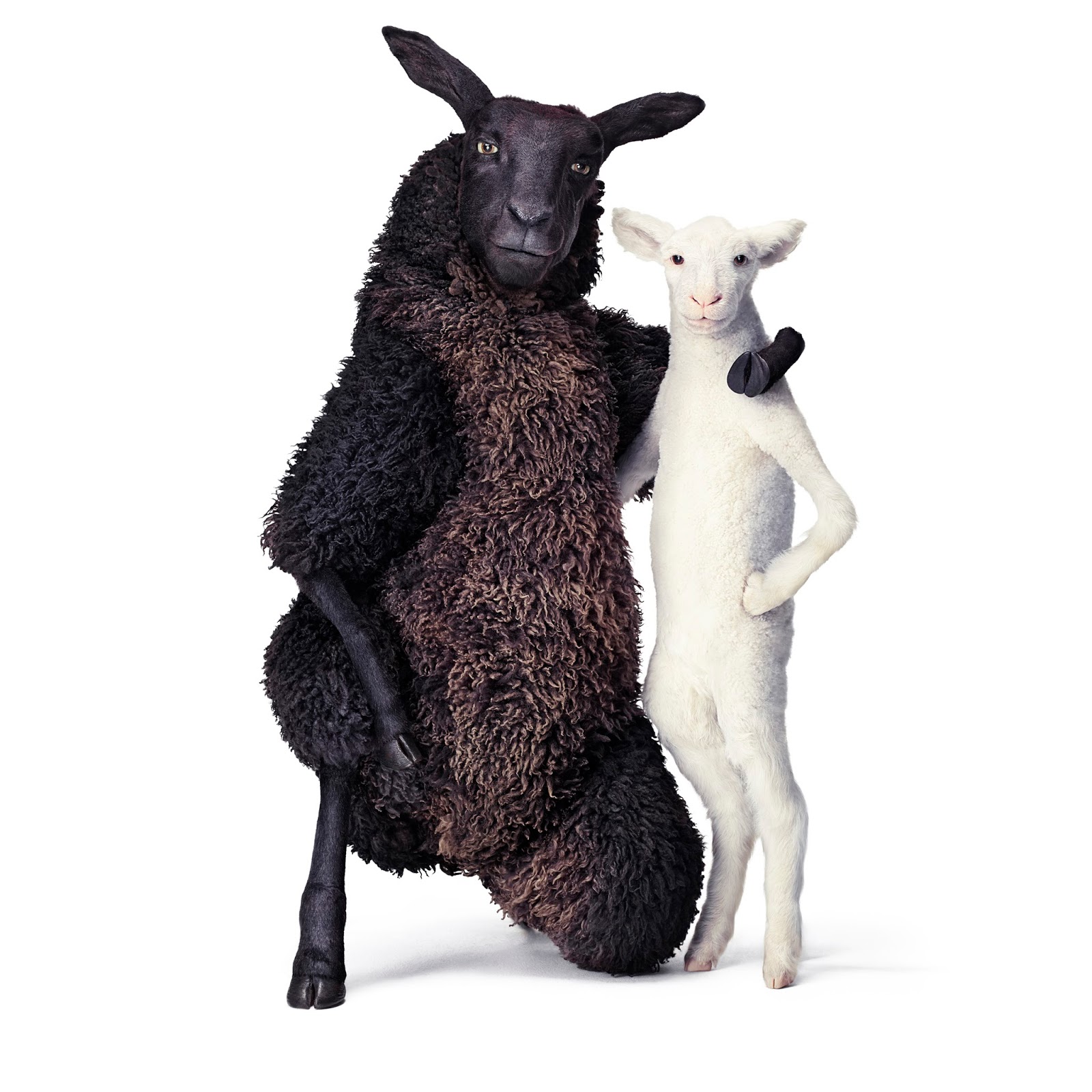 PENGAREGNET: Ännu en emission