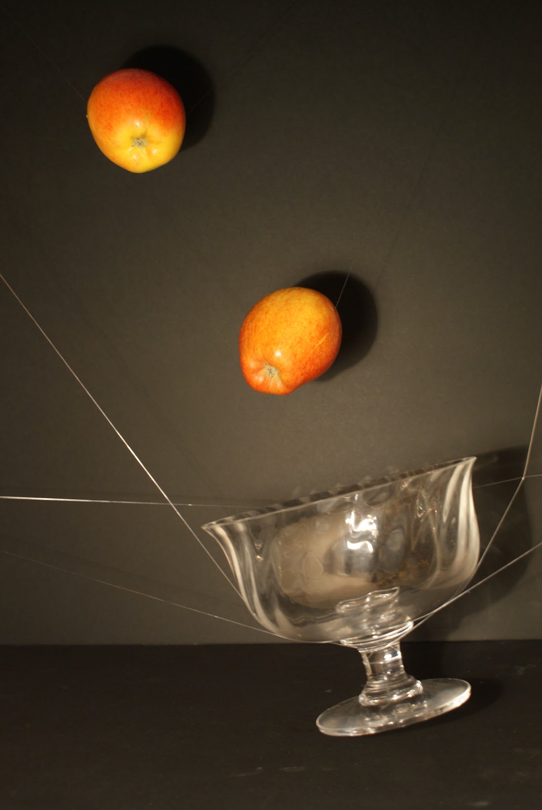 Emily's Art Blog: Floating Still Life Experiment