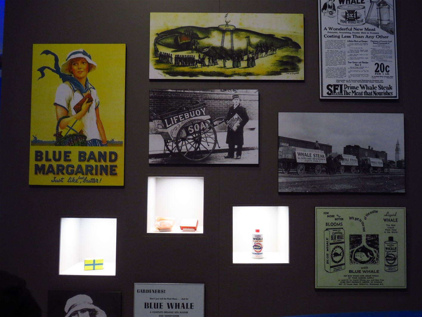 The World of Gord: Out of the Depths, The Blue Whale Exhibit at the ROM