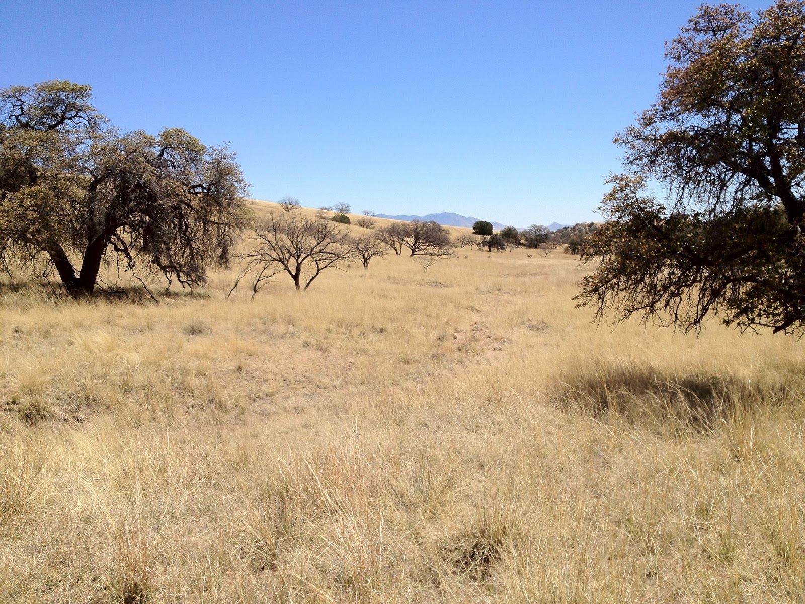 At Home on Azure Sky: Hiking the Arizona Trail #2: The High Desert ...