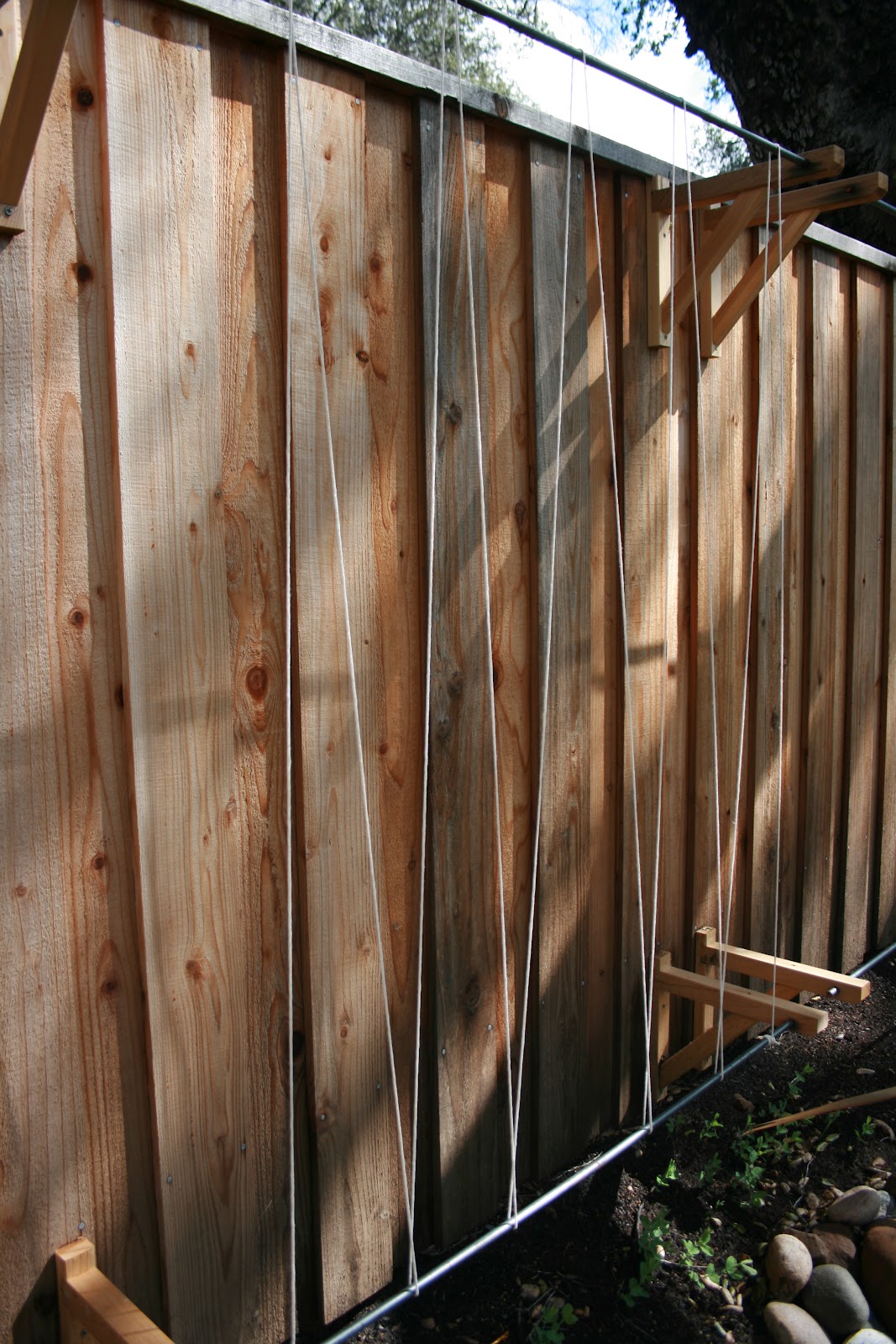 The Polished Pebble: Sweet Pea Trellis