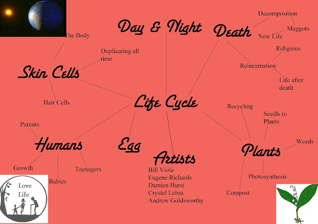 Yvonne Masters Photography Blog: Life Cycle and Experiences, Encounters ...