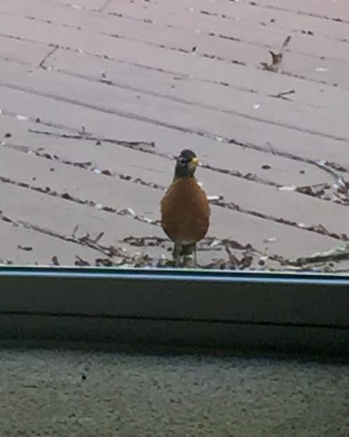 Make it easy crafts: April showers coloring page