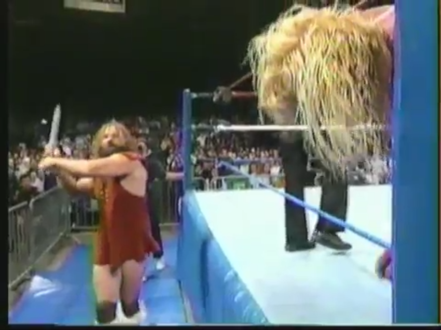 ProWresBlog: WWF Mania 1/9/1993