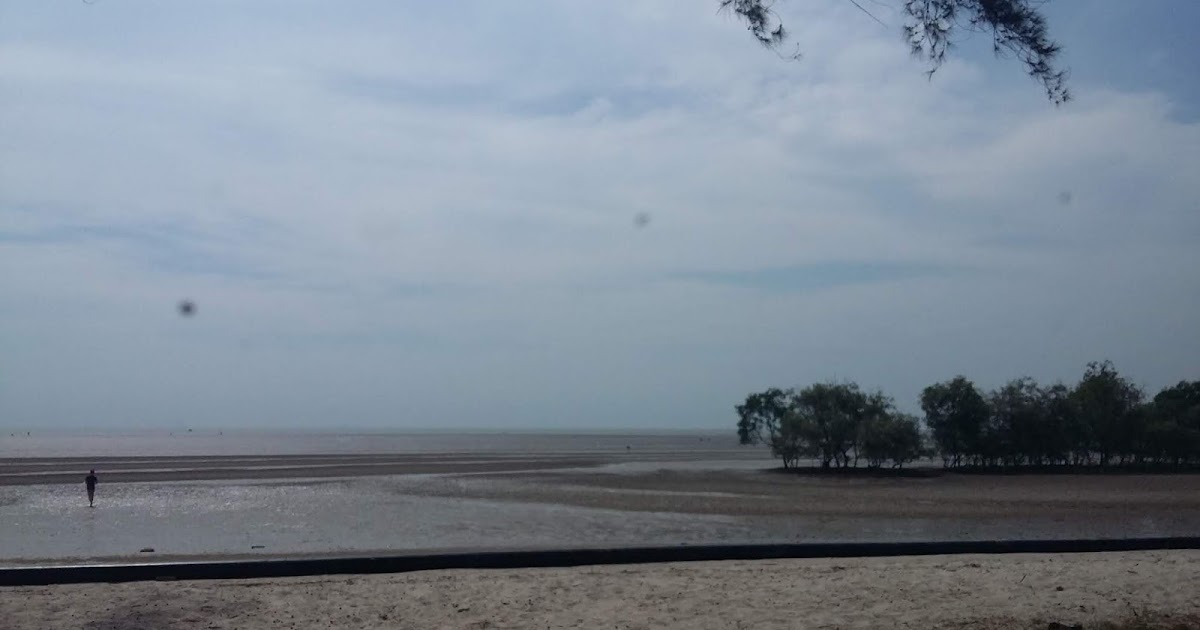 cicak kubing: TANGKAP PEPAHAT DI PANTAI MORIB