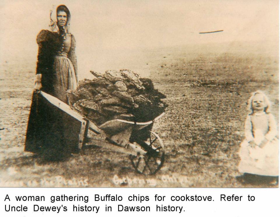 The Dawson Family History: From the Beginning