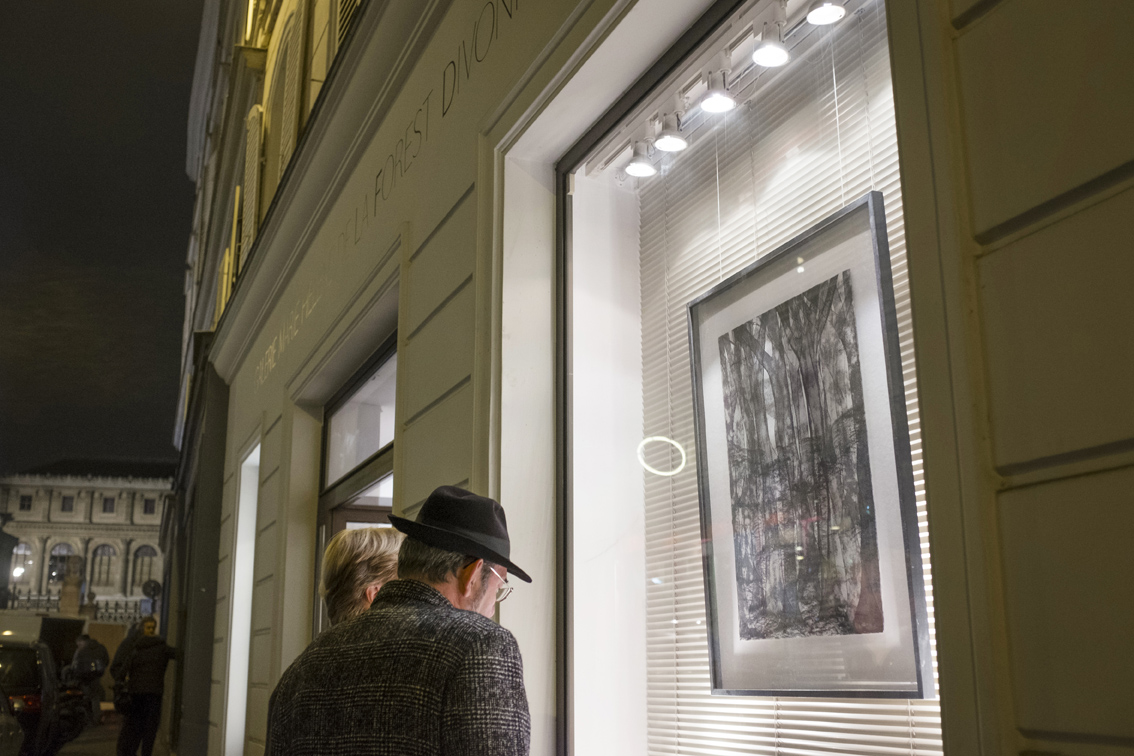 Marie Hélène de La Forest Divonne: Exposition David Décamp du 01.12.16 ...