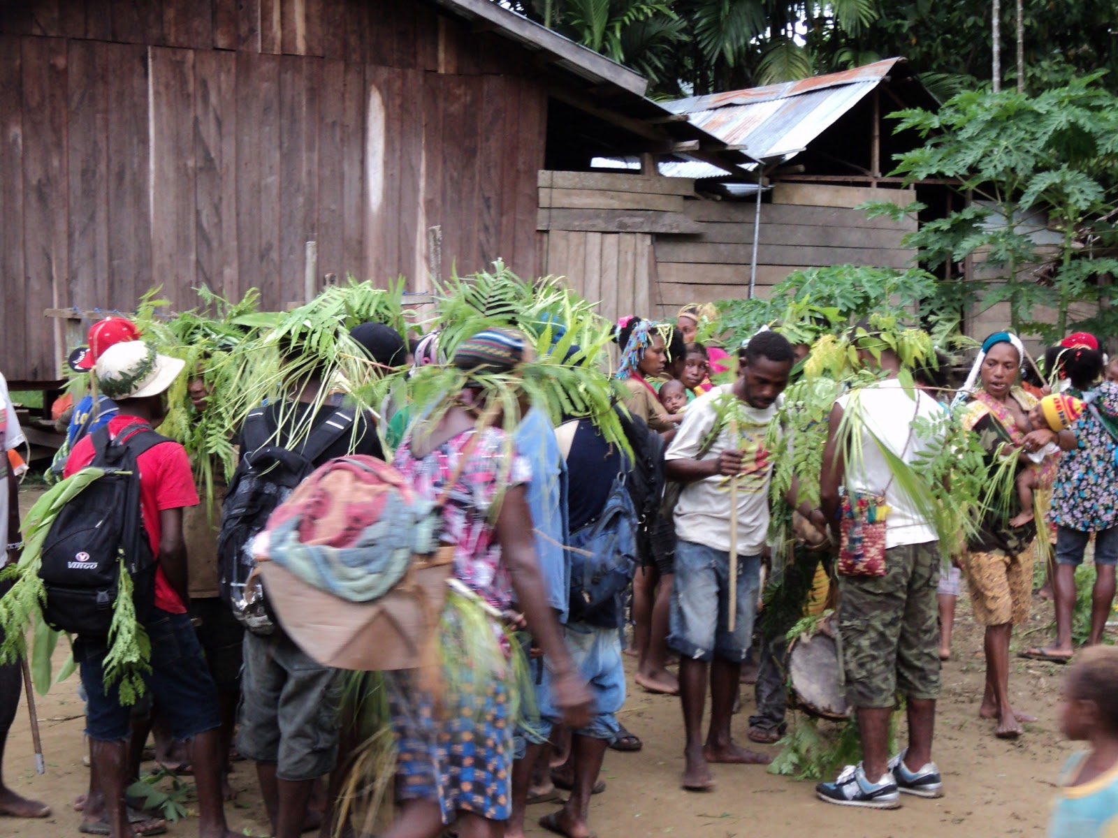 budaya Desa Kalipao distrik waris Papua