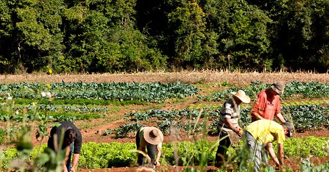 FAZENDO A DIFERENÇA COM CLARISVALDO: AGRICULTURA FAMILIAR, PEQUENO ...