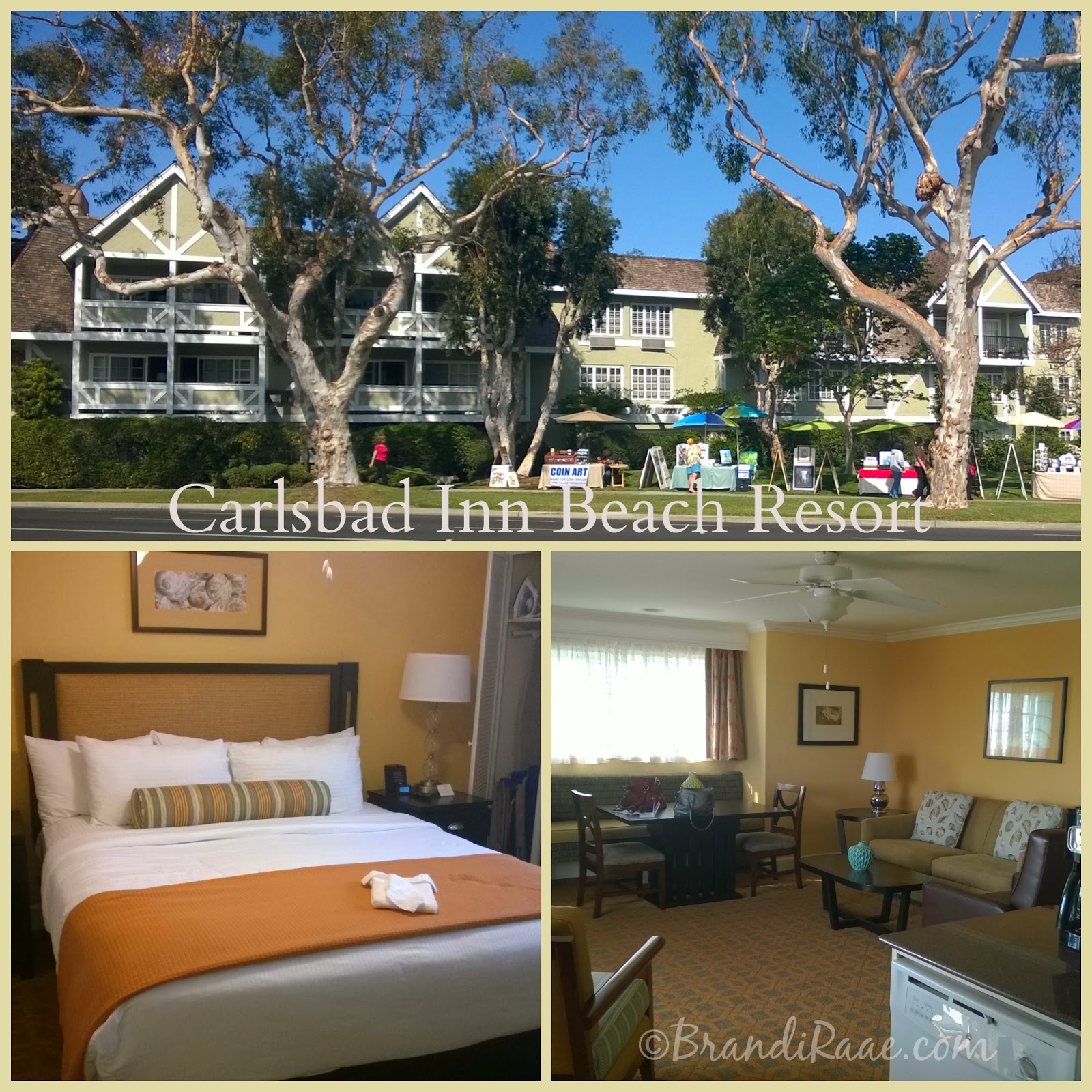 Brandi Raae: June 2014