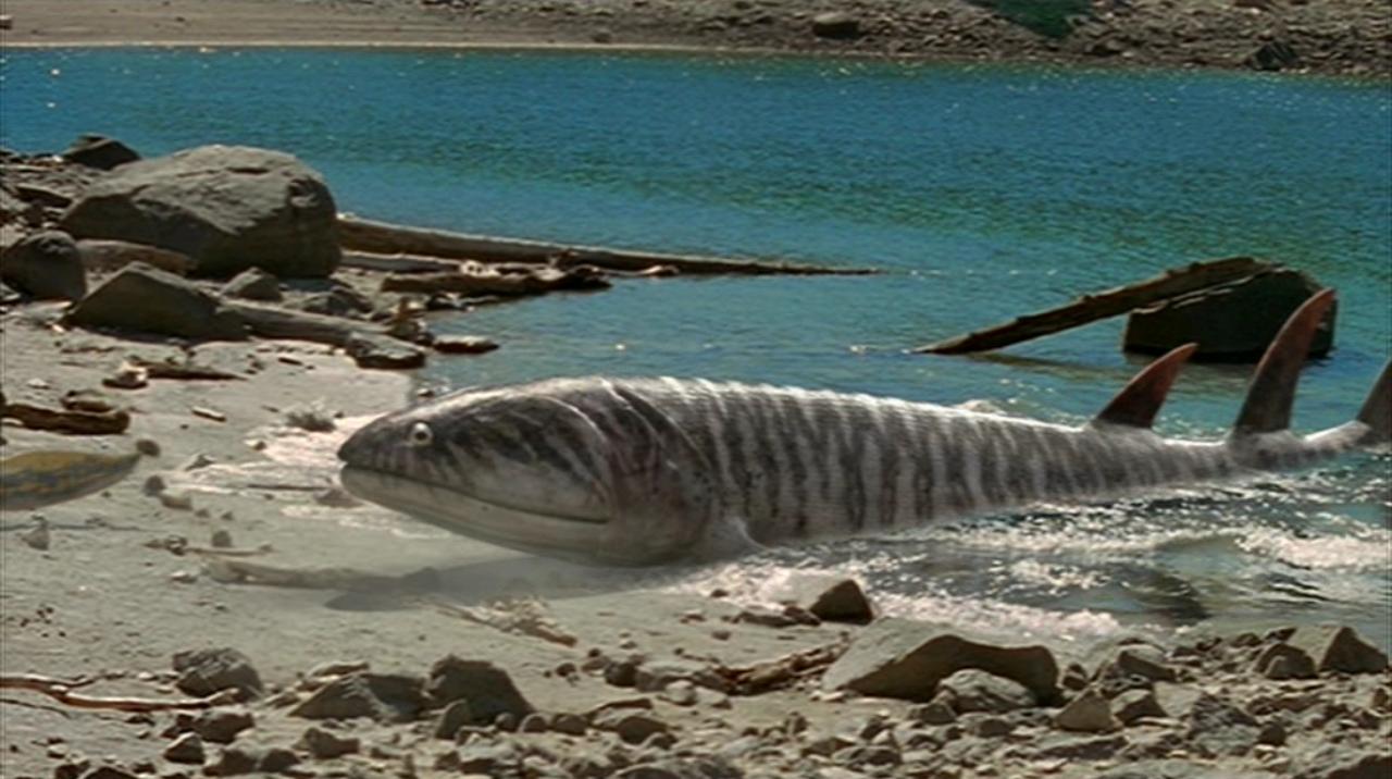 Animales prehistóricos: HYNERIA.