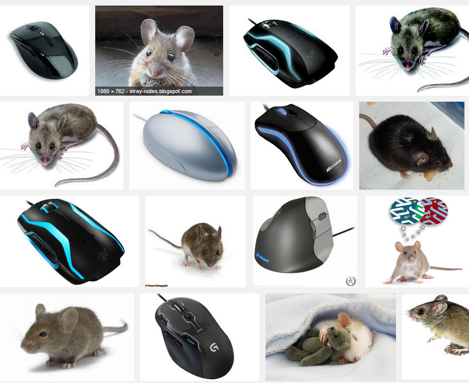 So I Married A Craft Blogger: Mouses