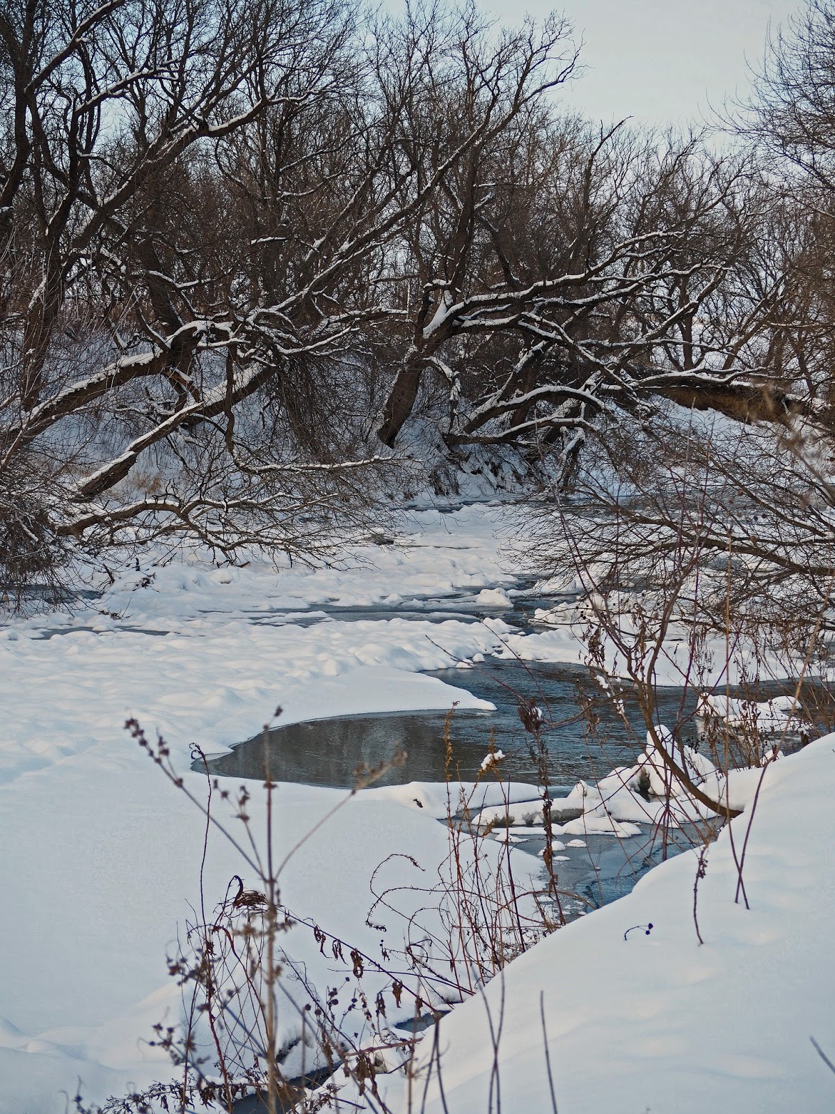 Stuff in the Basement: Floyd River walk