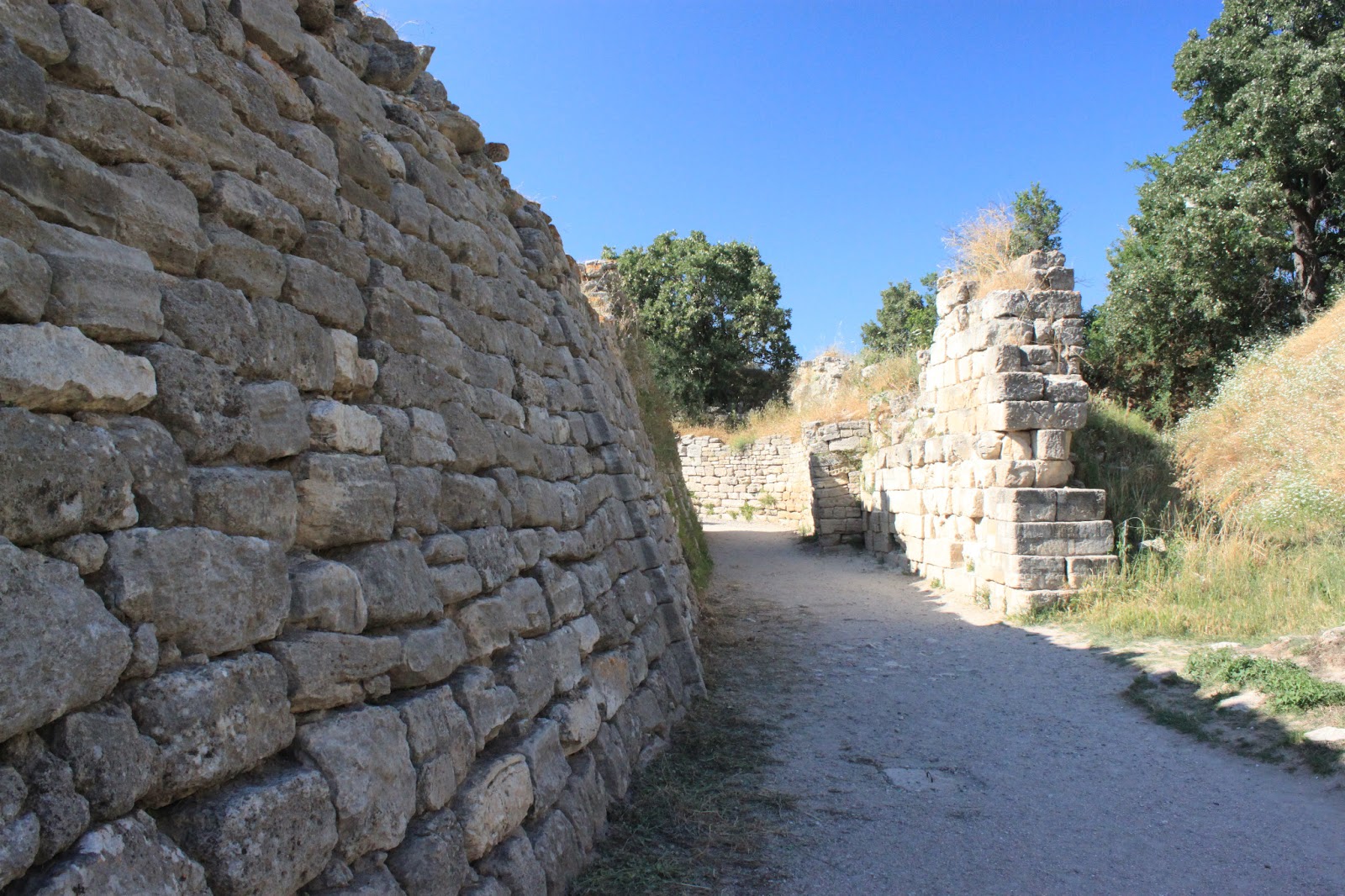 Barbarikon: Thinking Turkey