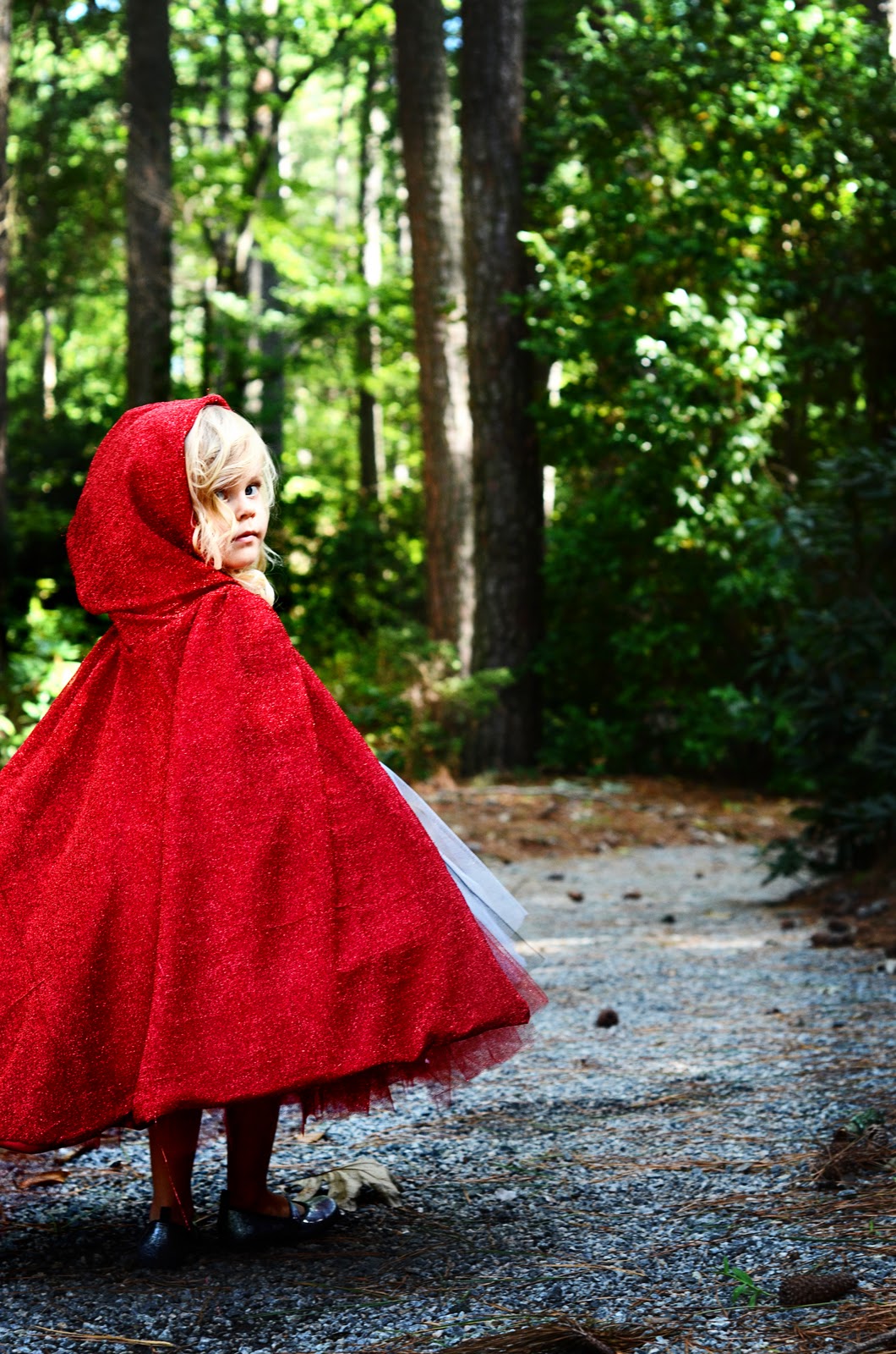 Your Sparkle Box Photography