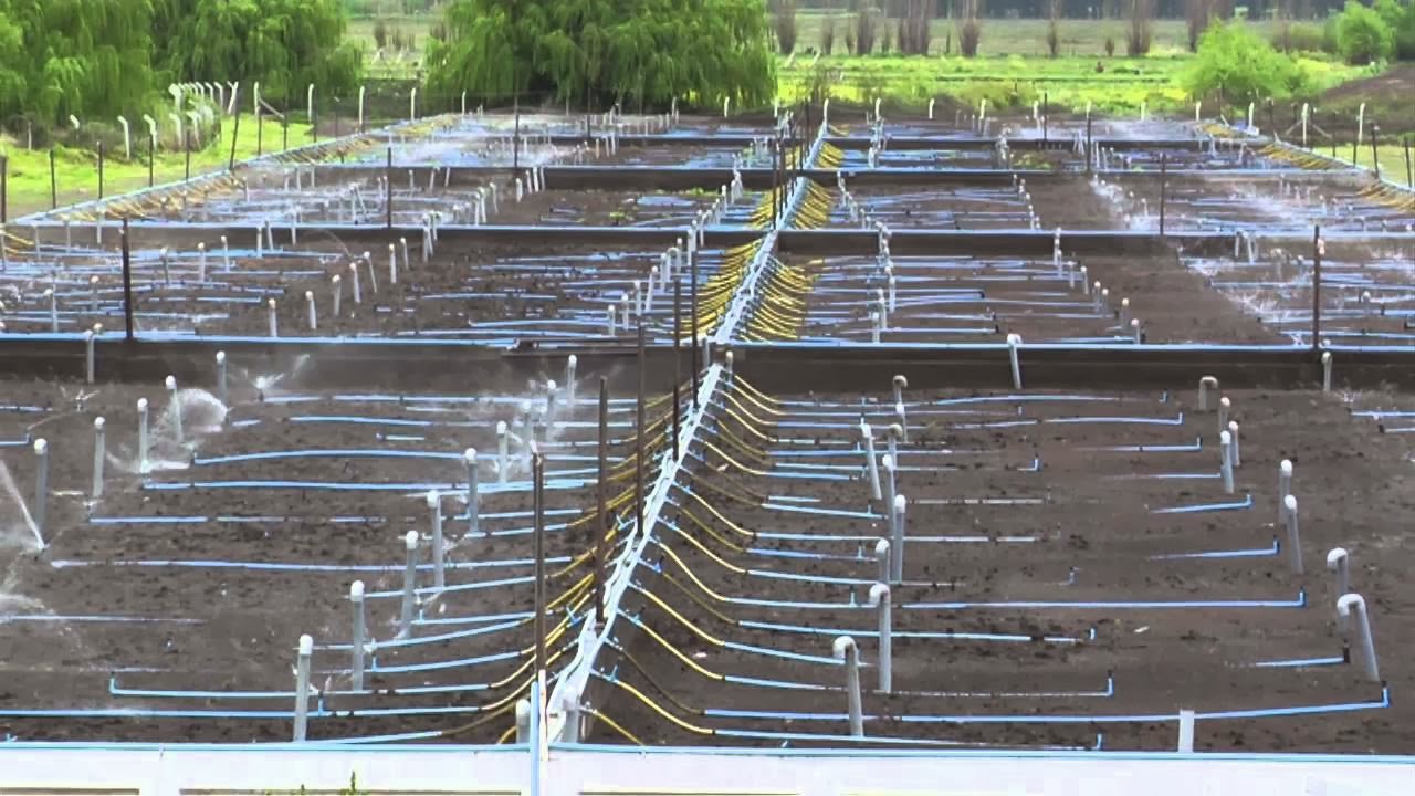 EcoworldReactor: September 2014