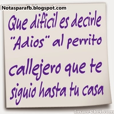 Notita para compartir en tus redes sociales | Notas ImageChef