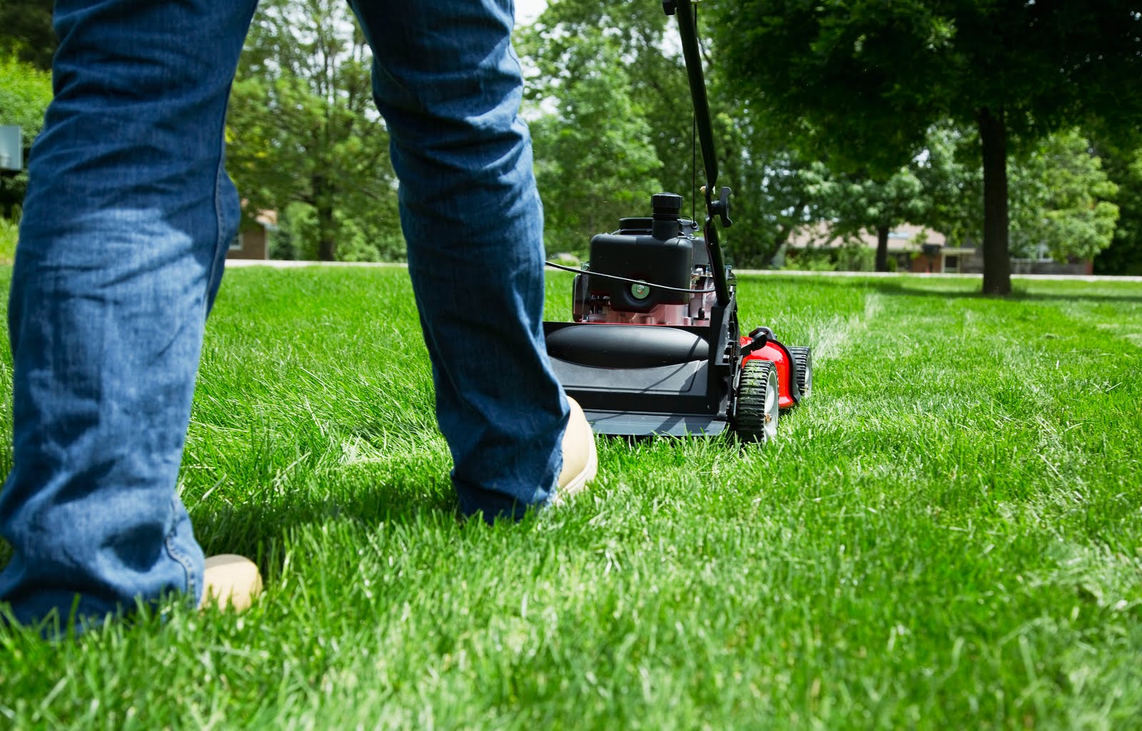 How To Find The Best Lawn Mowing Service Sydney ~ My Daily Fun Point