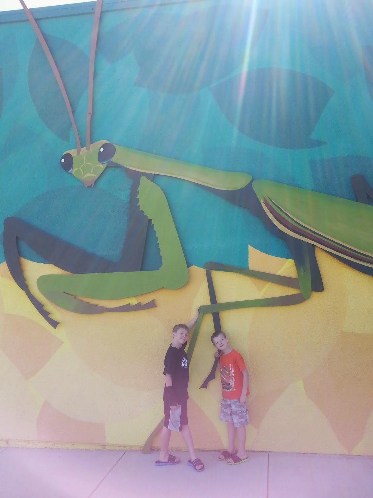 Six Little Ducklings: Insect Lore Bugseum