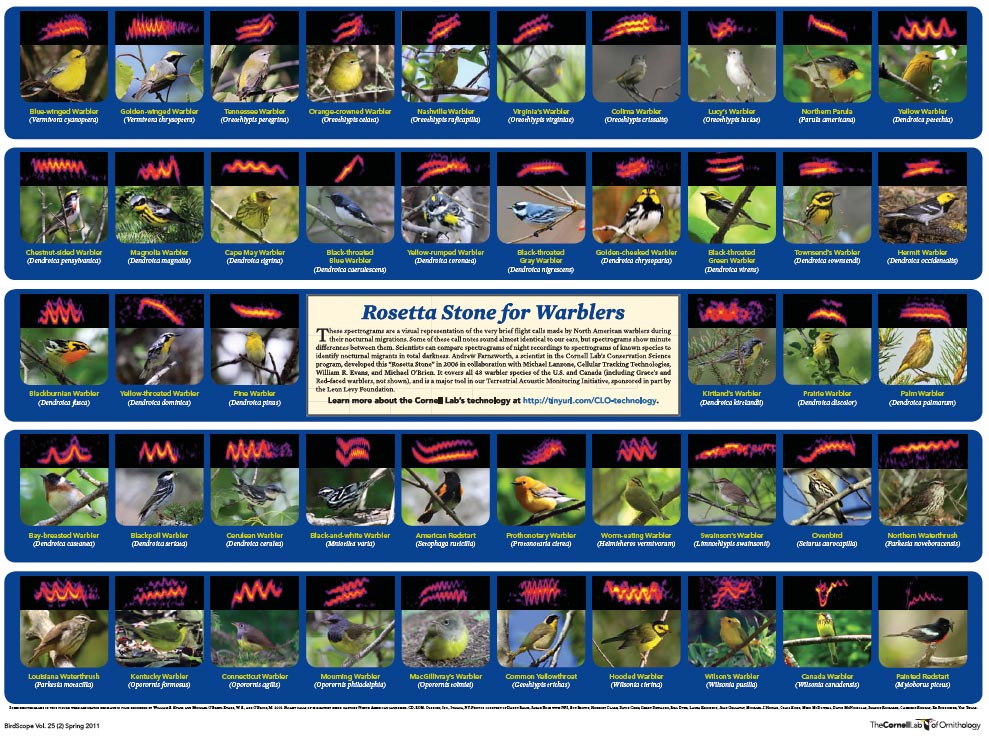 WarblerWatch: Is identification of warbler migration night calls ...