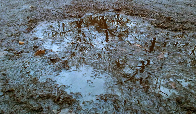 Franks Einrad-Blog: Nach Feierabend im Schlamm