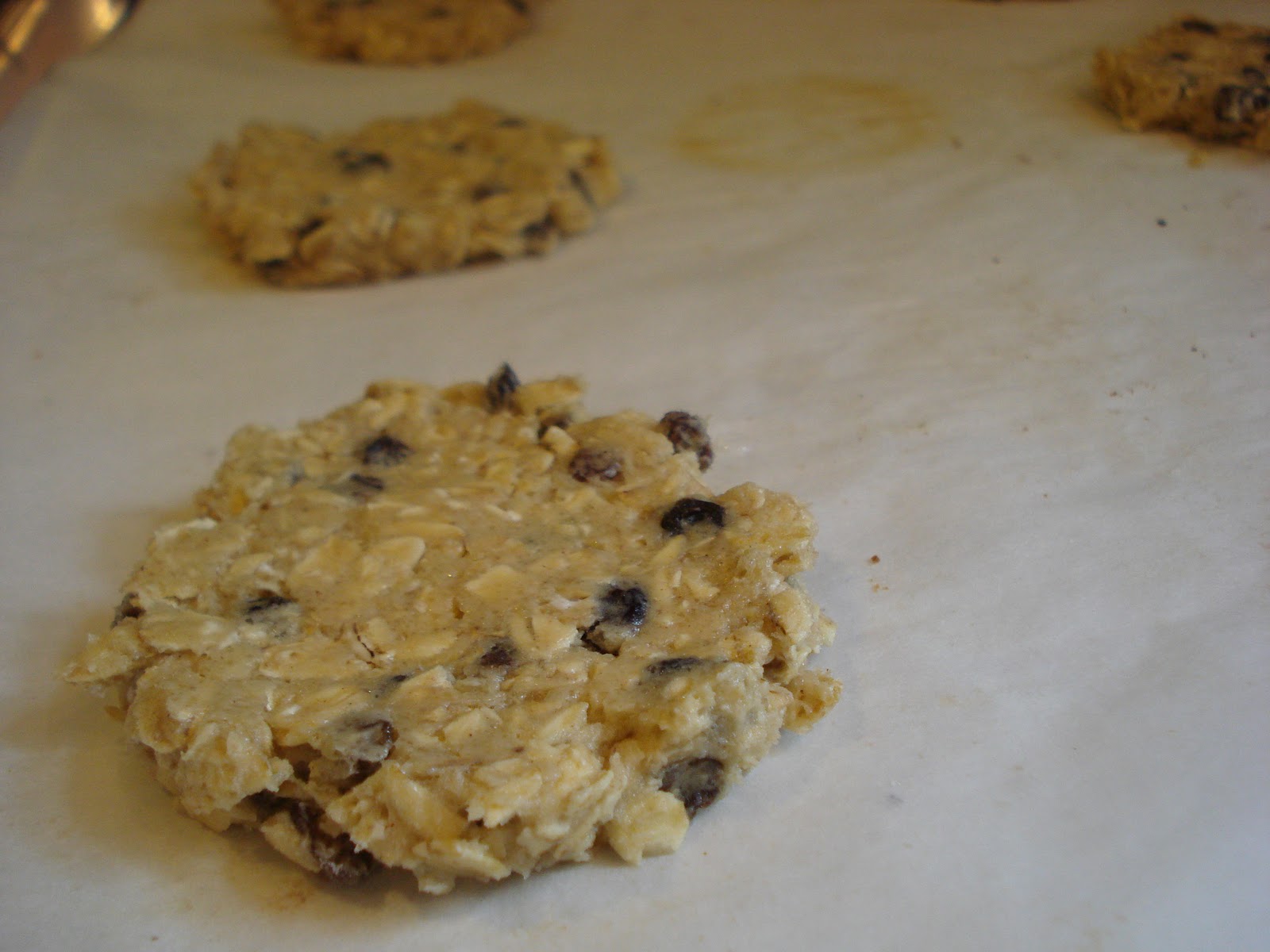 The Cookie Scoop: Thin Oatmeal Currant Cookies