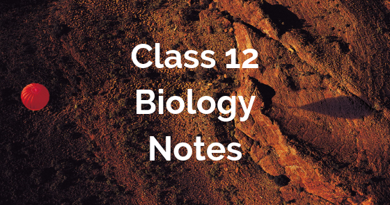 Evolution Class 12 Notes