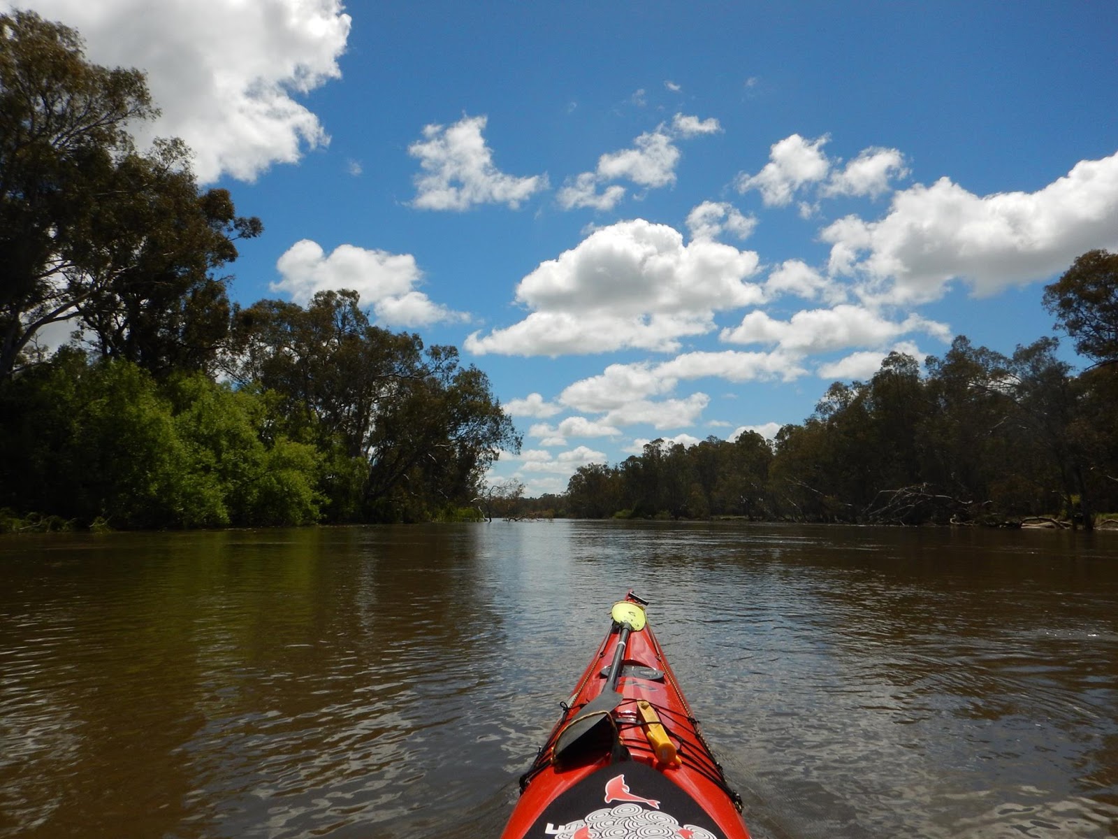 Murray River Kayak.: Murray River Paddle 2016 Day 5 Collendina Forest ...
