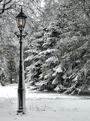 Susan Here There and Everywhere: Narnia