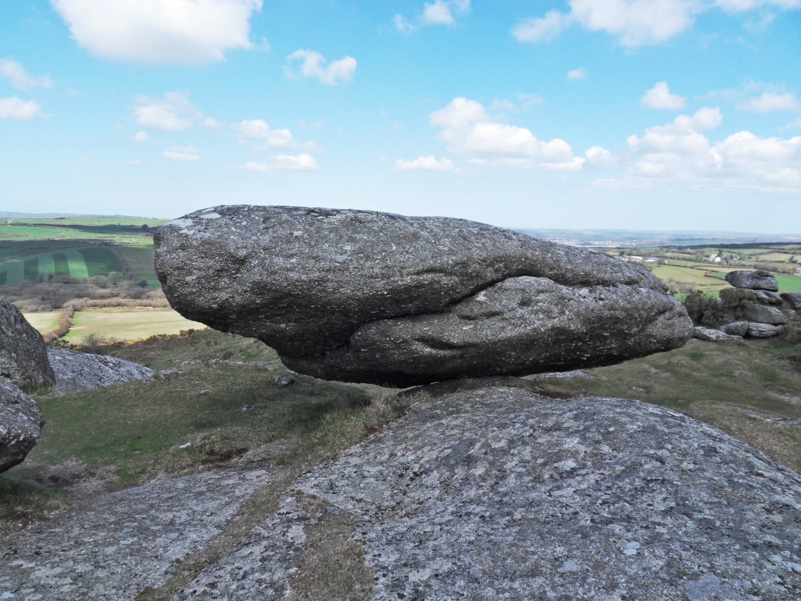 67 Not Out: The Granite Dinosaur And Turtle Guarding Helman Tor Cornwall