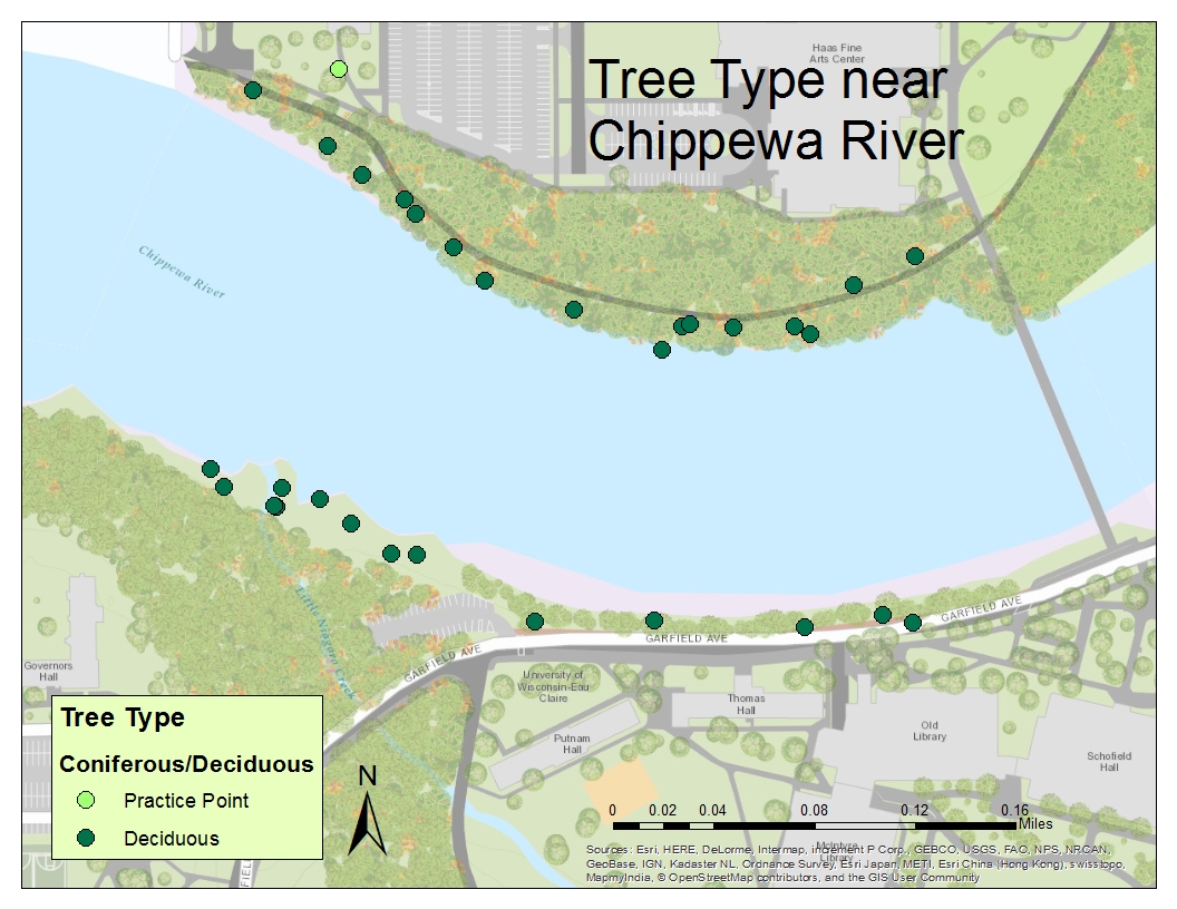 GEOG 336 Geographic Field Methods: Tree Species on Chippewa River