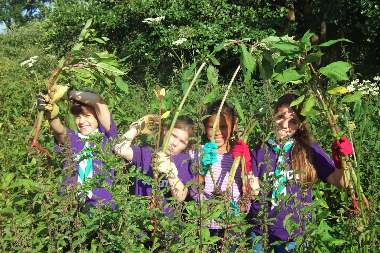 WOODSMOKE 500: Himalayan Balsam pulling at the Cadnam River, Ower