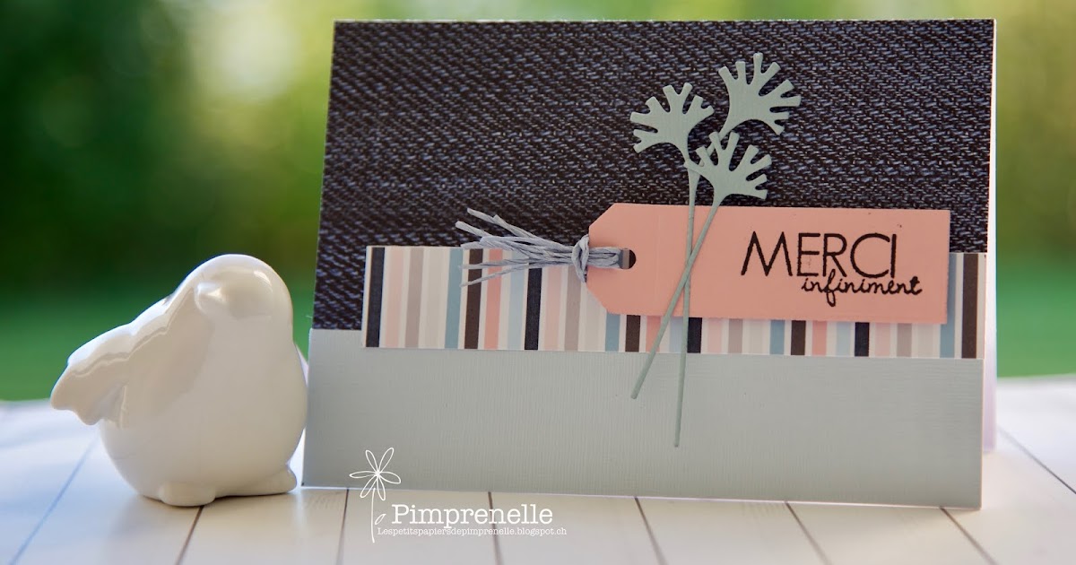 Les Petits Papiers de Pimprenelle: Merci infiniment