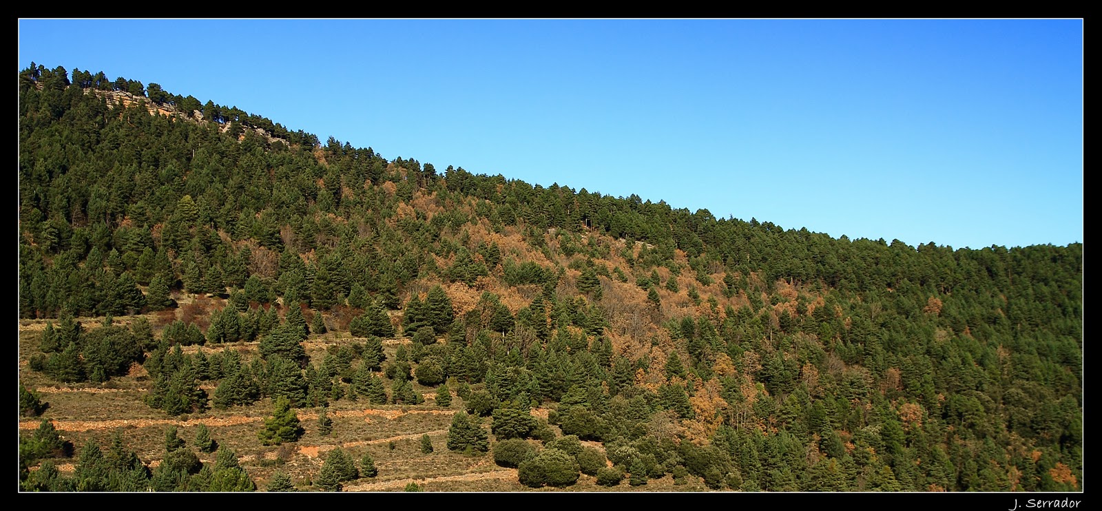 descubriendo PENYAGOLOSA: El Rebollar de Sant Joan de Penyagolosa