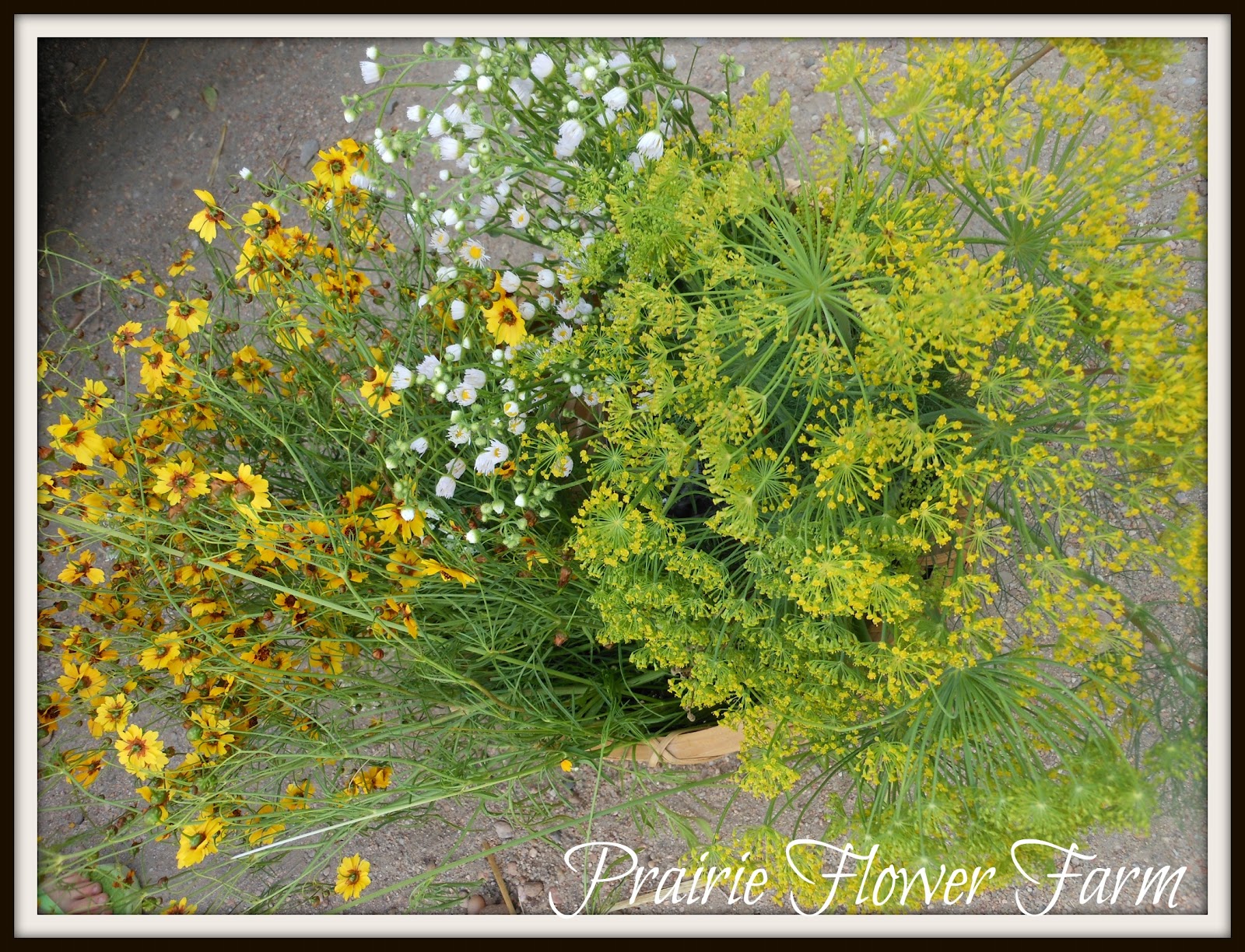 Prairie Flower Farm: A Tea Party...........precious time!