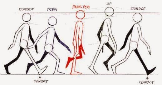2D PRINCIPLES Study Task 3 - Walk the Walk