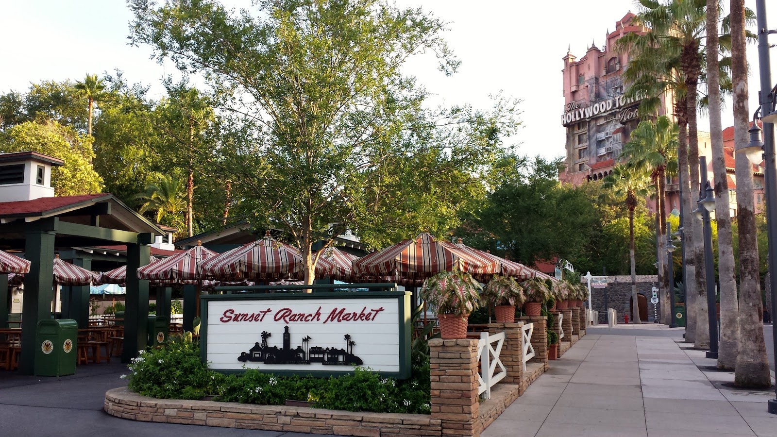 The Experience: Internship with Disney’s Horticulture : Disney's ...