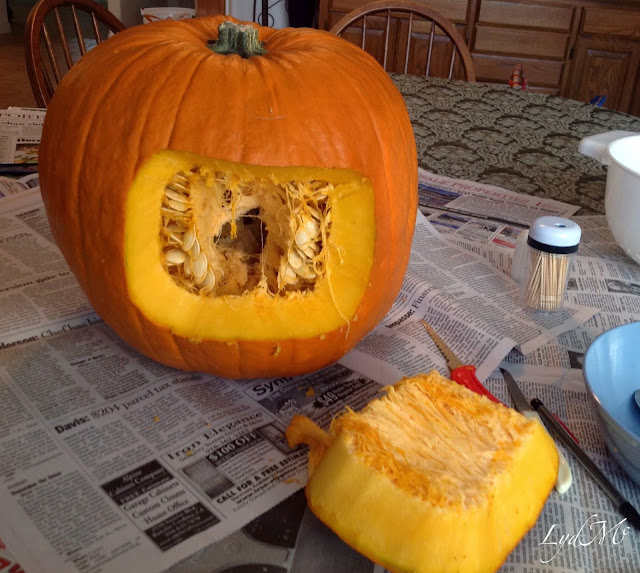 Sweet Roasted Pumpkin Seeds & One Foxy Pumpkin