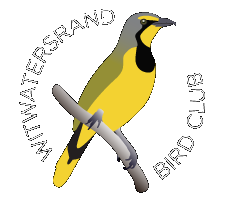 John Kinghorn's Birding Big Year: Sponsors