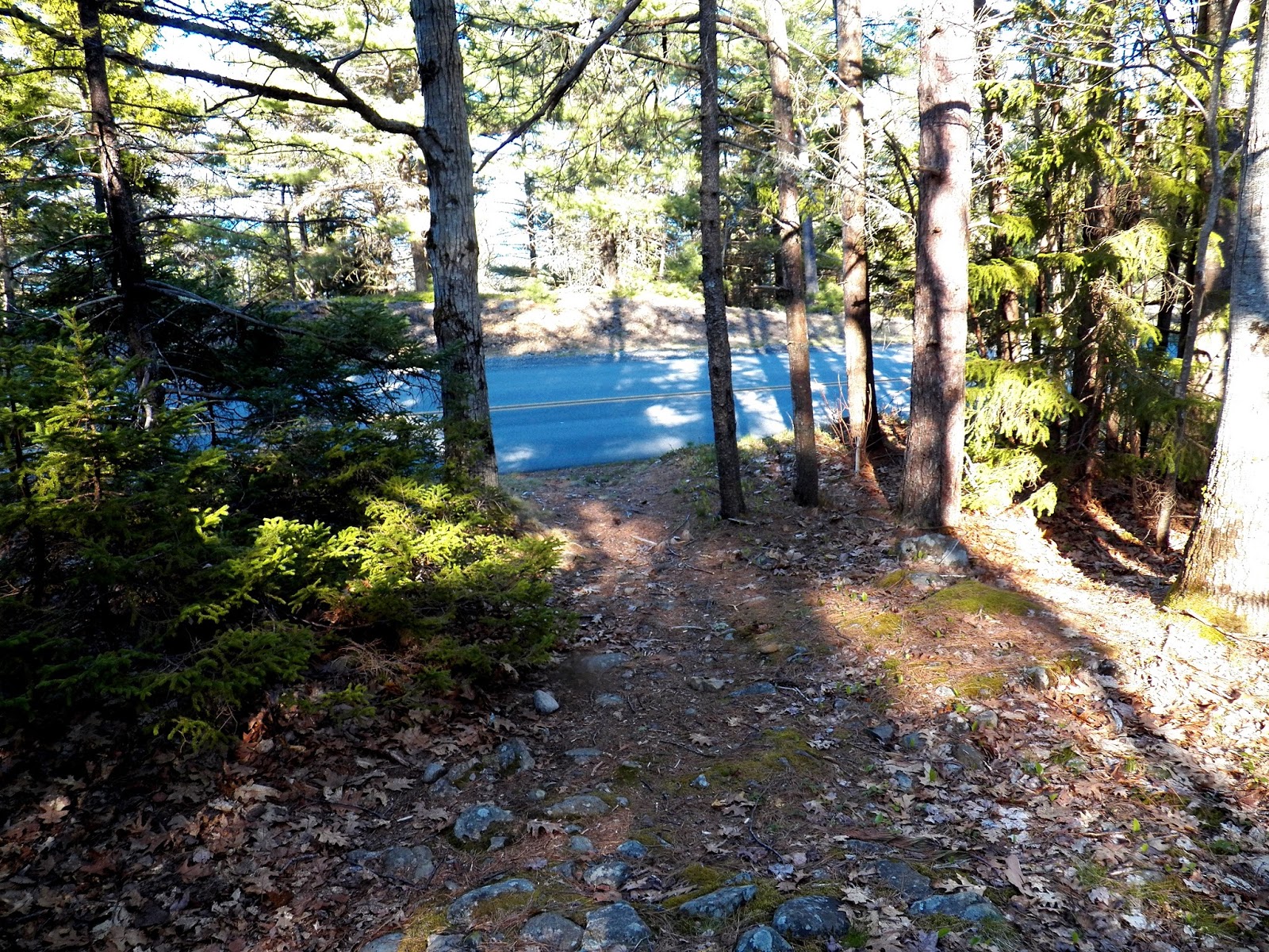 ABANDONED TRAILS OF ACADIA NATIONAL PARK: ABANDONED WITCH HOLE POND ...