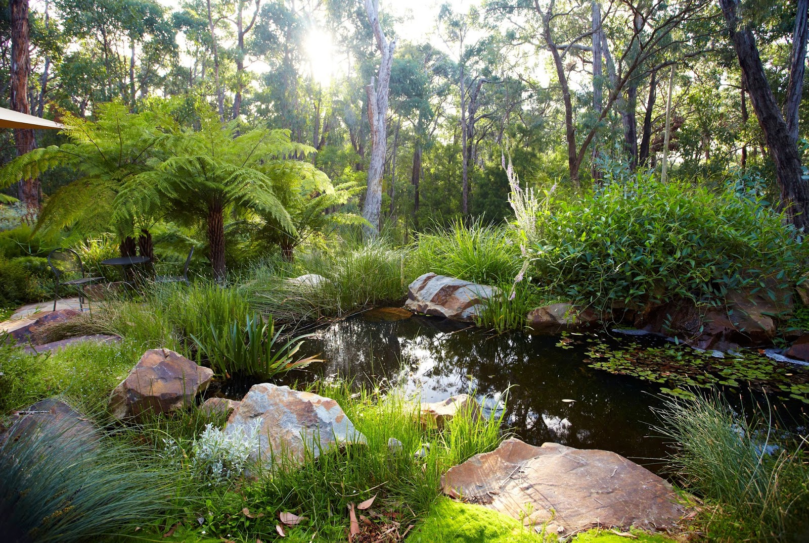 Phillip Johnson Landscapes: National Water Week